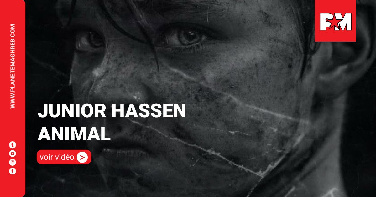 Junior Hassen -Animal - PLANETE MAGHREB